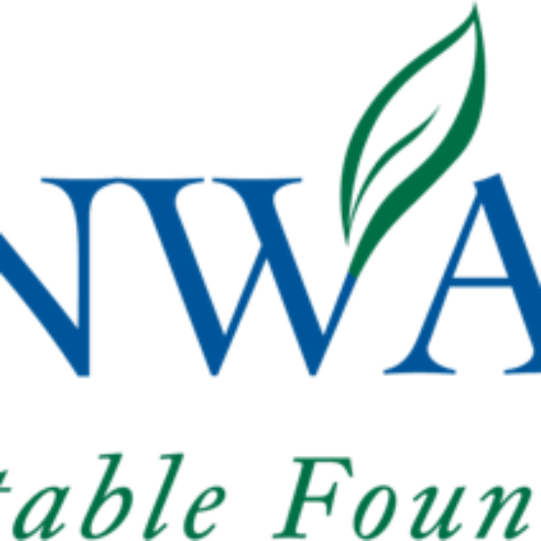 Rainwater Charitable Foundation - Ubongo